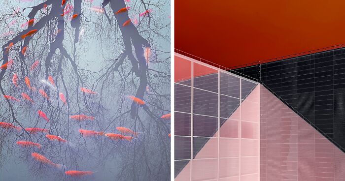 The 2021 Annual Mobile Photography Award Winners Will Make You Rethink ...