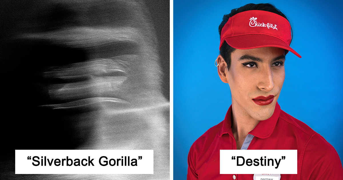 Discover The 10 Images That Won The Independent Photographer’s Open ...