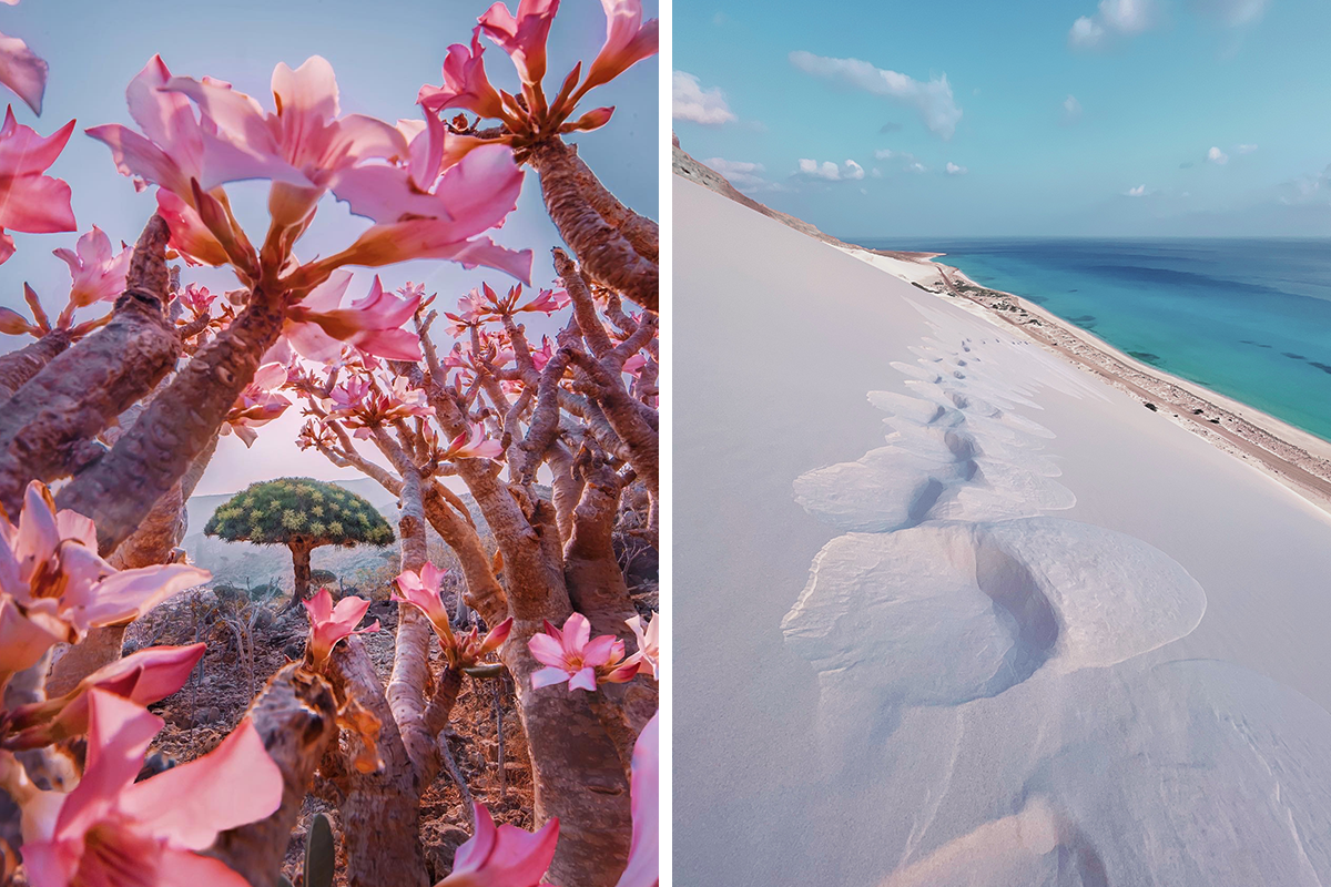 I Explored Socotra Island — A Place Unlike Anywhere Else (30 Pics ...