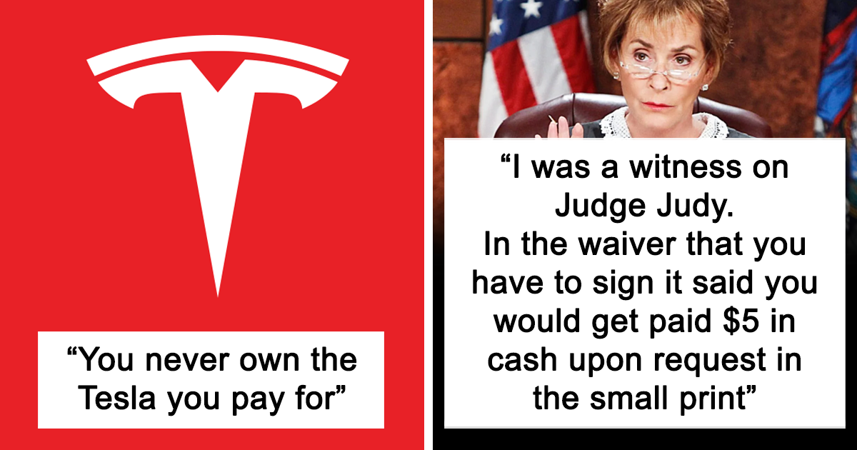 35 Times People Actually Read The Terms And Conditions And Found ...