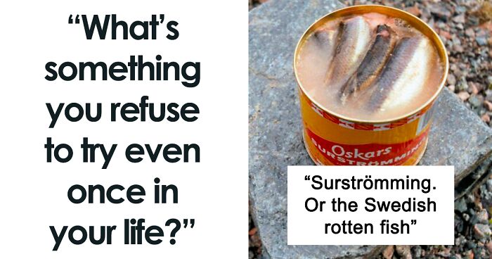 29 People Share Their “Anti-Bucket” List Of Things They Will Never ...