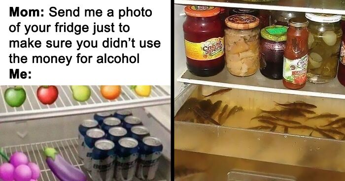 35 Pics Of Unexpected Things In Fridges That People Shared On This ...