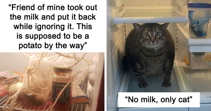 35 Pics Of Unexpected Things In Fridges That People Shared On This ...
