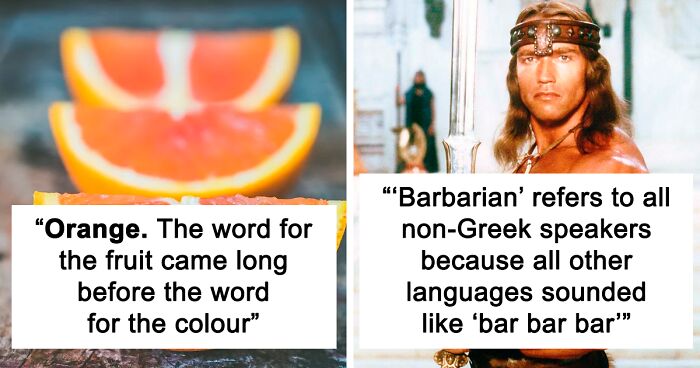 This Online Thread Is Dedicated To The Coolest Origins Of Words And ...