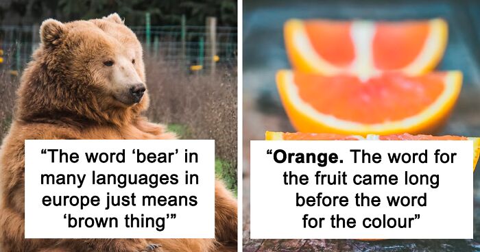 This Online Thread Is Dedicated To The Coolest Origins Of Words And ...