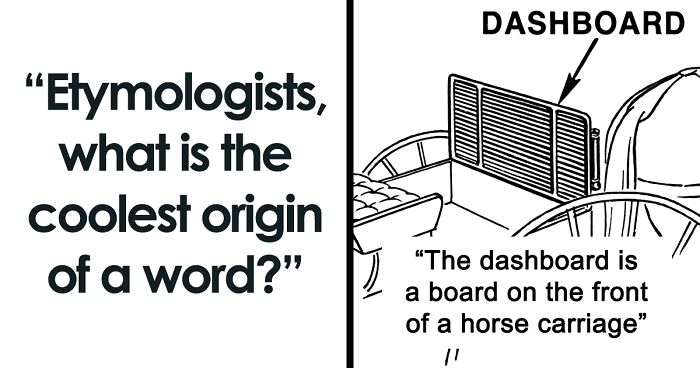 This Online Thread Is Dedicated To The Coolest Origins Of Words And ...