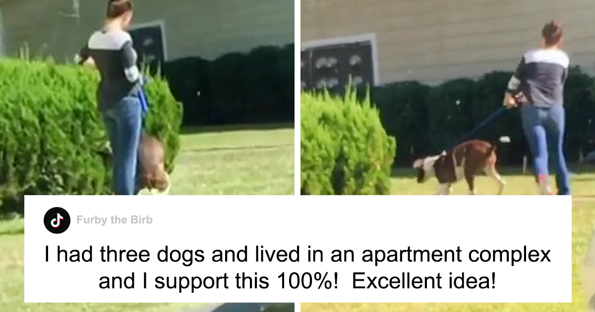 Apartment Complex Offers $50 Off Rent In Exchange For Videos Of ...