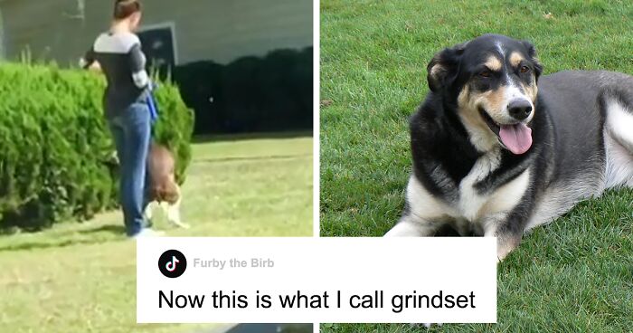 Apartment Complex Offers $50 Off Rent In Exchange For Videos Of ...