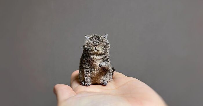 This Artist Makes Realistic-Looking Felted Little Cats In Various ...