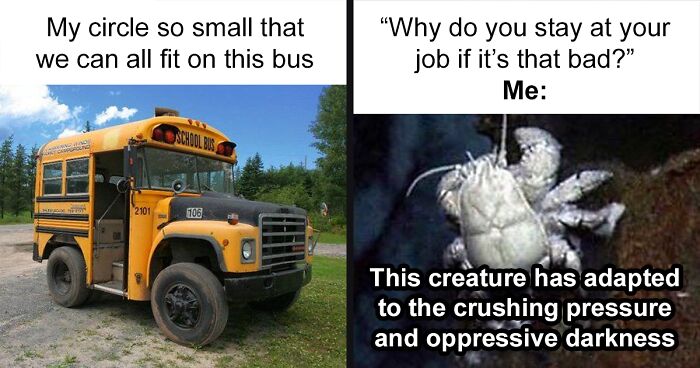 50 Memes That You Might Like If You Don’t Really Like People (New Pics ...