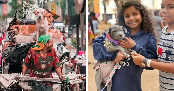The Most Sincere Love Comes From Animals, And Here Are 60 Heartwarming ...