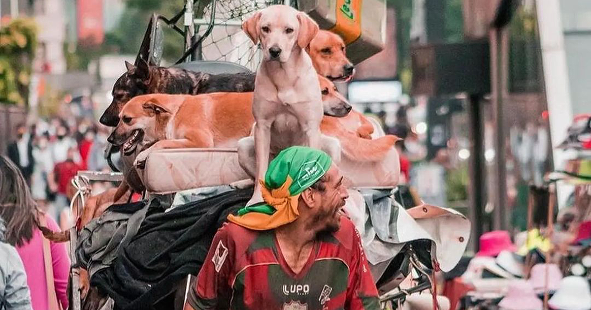 The Most Sincere Love Comes From Animals, And Here Are 60 Heartwarming ...