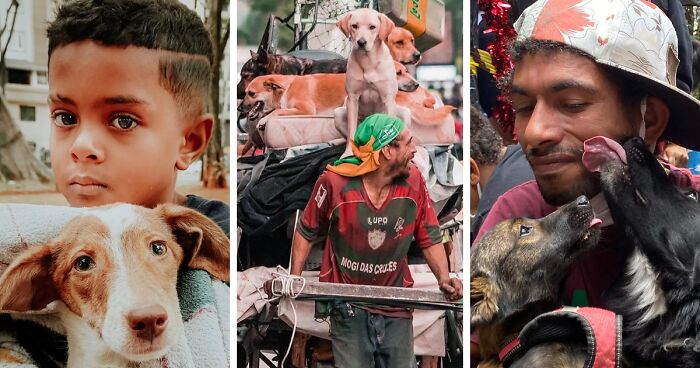 The Most Sincere Love Comes From Animals, And Here Are 60 Heartwarming ...