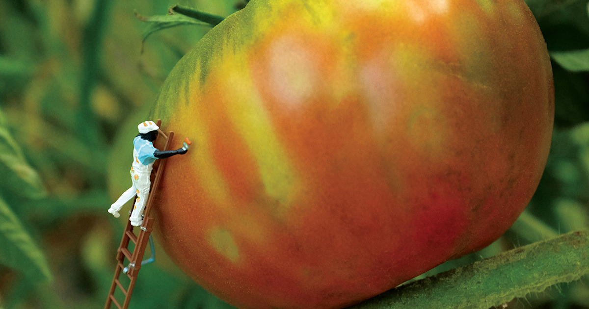 I Spent A Year Photographing The Tiny Residents Of Our Vegetable Farm ...