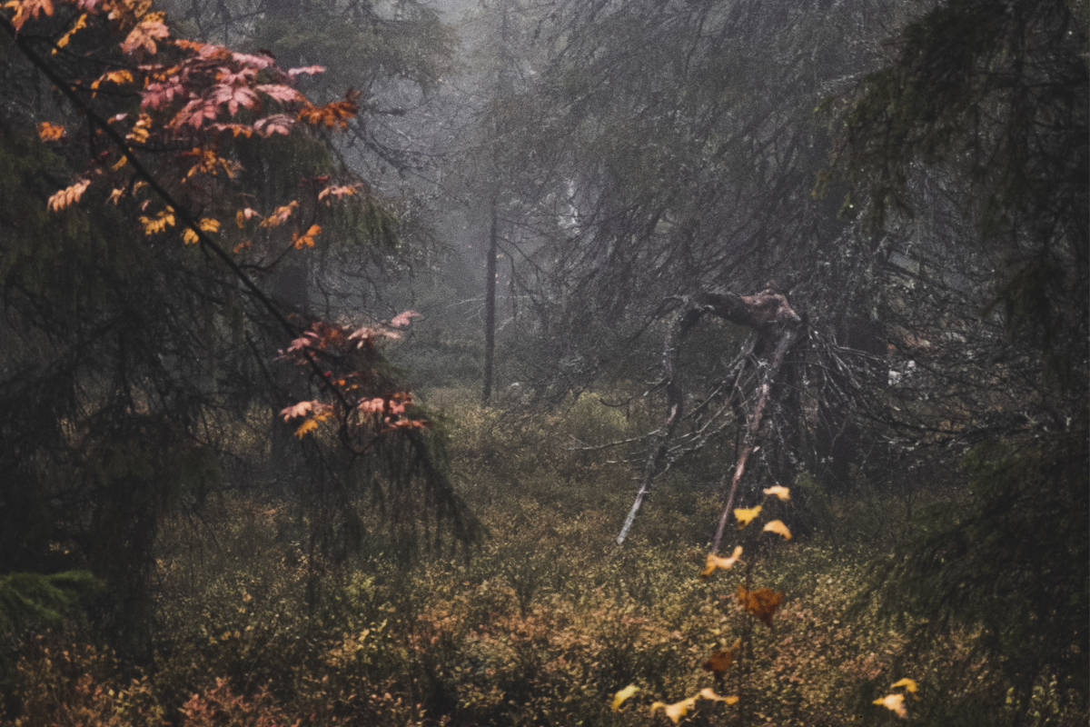 Here Are 34 Eerily Beautiful Liminal Spaces I Captured (34 Pics ...