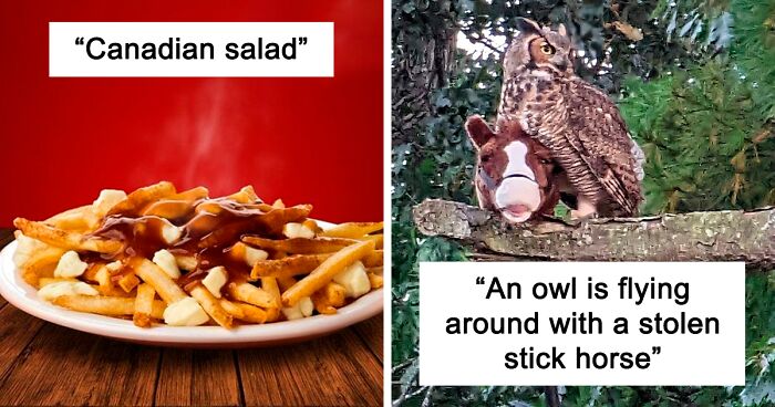 “Meanwhile In Canada”: 50 Memes That Perfectly Reflect The Country ...