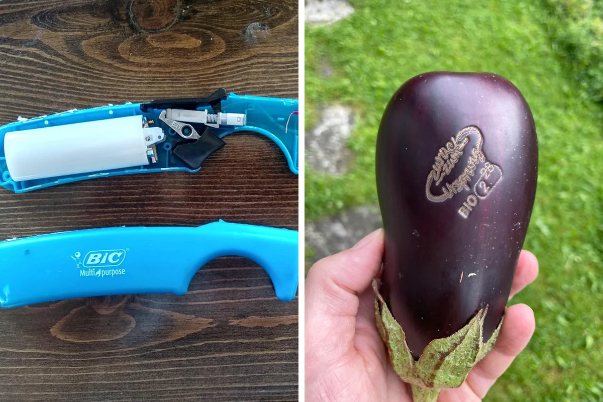 50 Times People Came Across Something ‘Mildly Interesting’ And Just Had ...