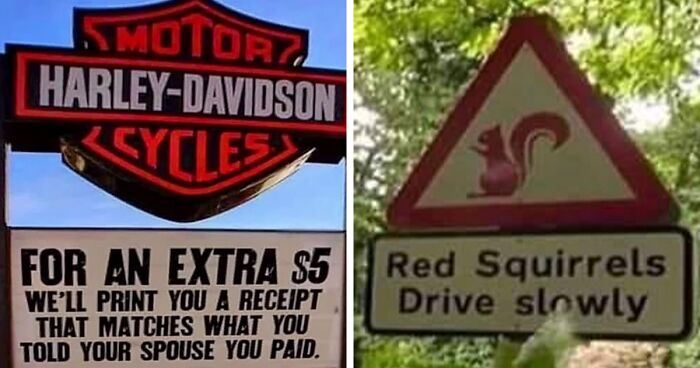 50 Of The Strangest Laugh-Inducing Signs People Spotted In Public ...