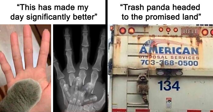 Almost 11M People Liked This Meme Page Called “Men’s Humor”, And Here ...