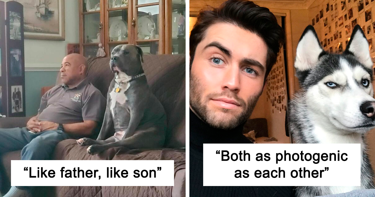 Animals That Look Like Their Owners