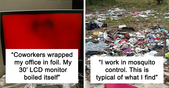 50 Photos Of People Who Are Having A Worse Day At Work Than You (New ...