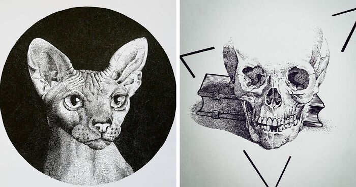 My 30 Stippling Drawings That Are Composed Of Millions Of Dots