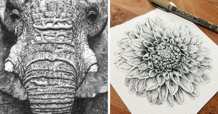 My 30 Stippling Drawings That Are Composed Of Millions Of Dots