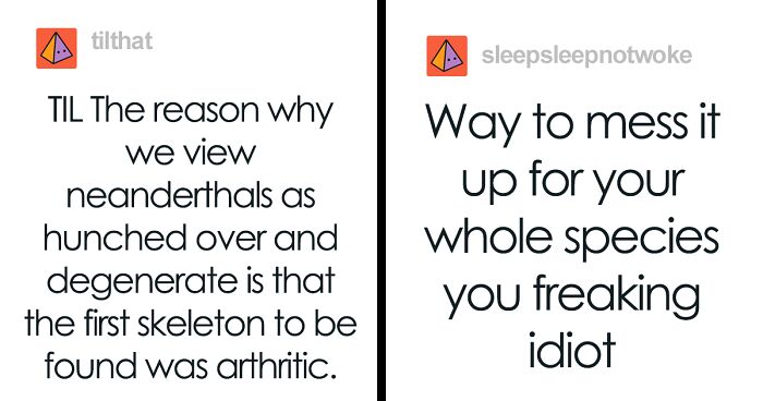 37 Times When People On Tumblr Pointed Out Historical Facts In The Most ...
