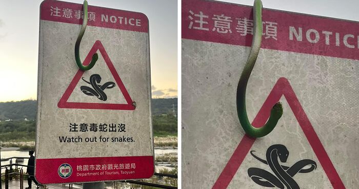 30 Times People Spotted Signs That Were Too Good (Or Bad) Not To Share ...