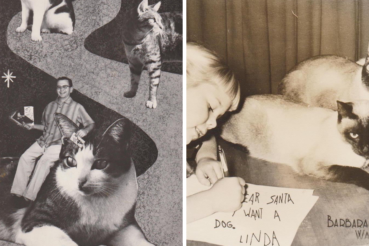 Before Photoshop, People Used To Make Homemade Christmas Cards, And ...