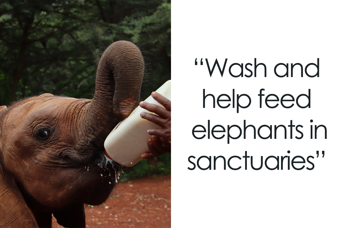 62 Unconventional Ways To Volunteer That You May Not Have Thought About ...
