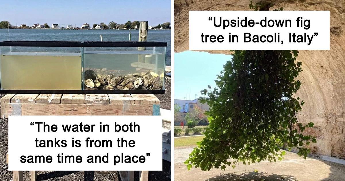 50 New Interesting Discoveries Around The World, Shared On This ...