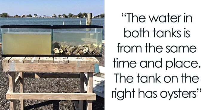 50 New Interesting Discoveries Around The World, Shared On This ...