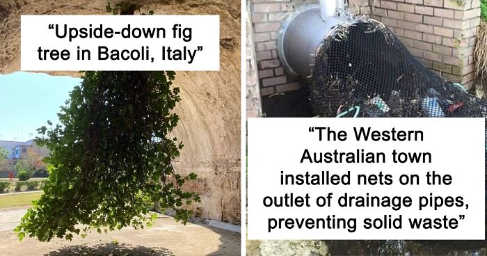 50 New Interesting Discoveries Around The World, Shared On This ...