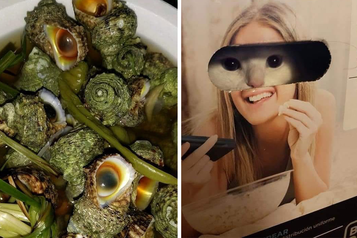 “Accidental Surrealism”: 50 Unbelievable Pictures That Make One Do A Double Take (New Pics ...