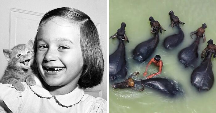 A Selection Of The Most Striking Images Of The Animal Kingdom For A Bit ...