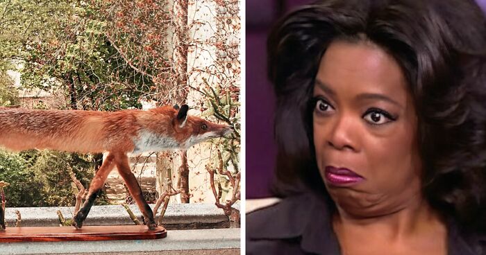 “Bad Taxidermy”: 35 Examples Of Taxidermy That’s So Horrific It’s Funny