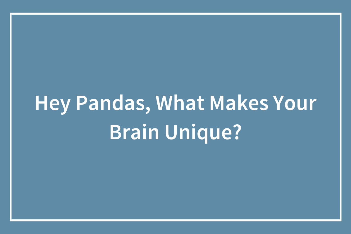 Hey Pandas, What Makes Your Brain Unique? (Closed) | Bored Panda