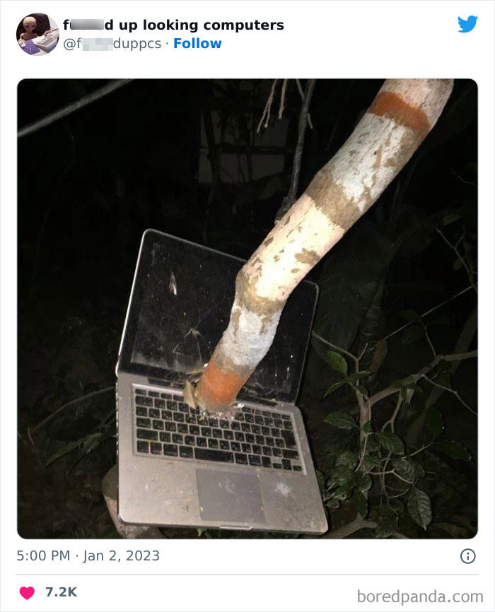 30 Times People Had Such Horrible Computers, They Just Had To Be Shamed ...