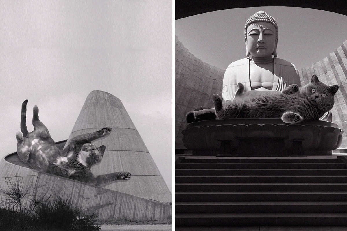 40 Best New Pics From “Cats Of Brutalism” For Anyone Who Appreciates ...