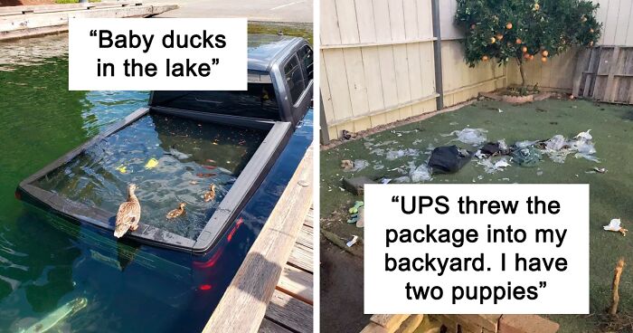 50 Of The Most Painfully Expensive Fails And Accidents | Bored Panda