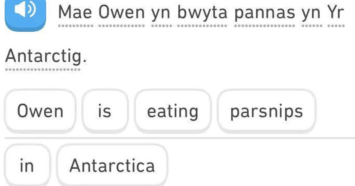 30 Duolingo Sentences That Are Witty And Hilariously Dark | Bored Panda