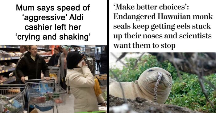 50 Times Accidental Comedy Gold Was Spotted On Social Media (New Pics ...