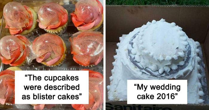 “That’s It, I’m Cake Shaming”: 50 Baking Fails That Were Too Funny To ...