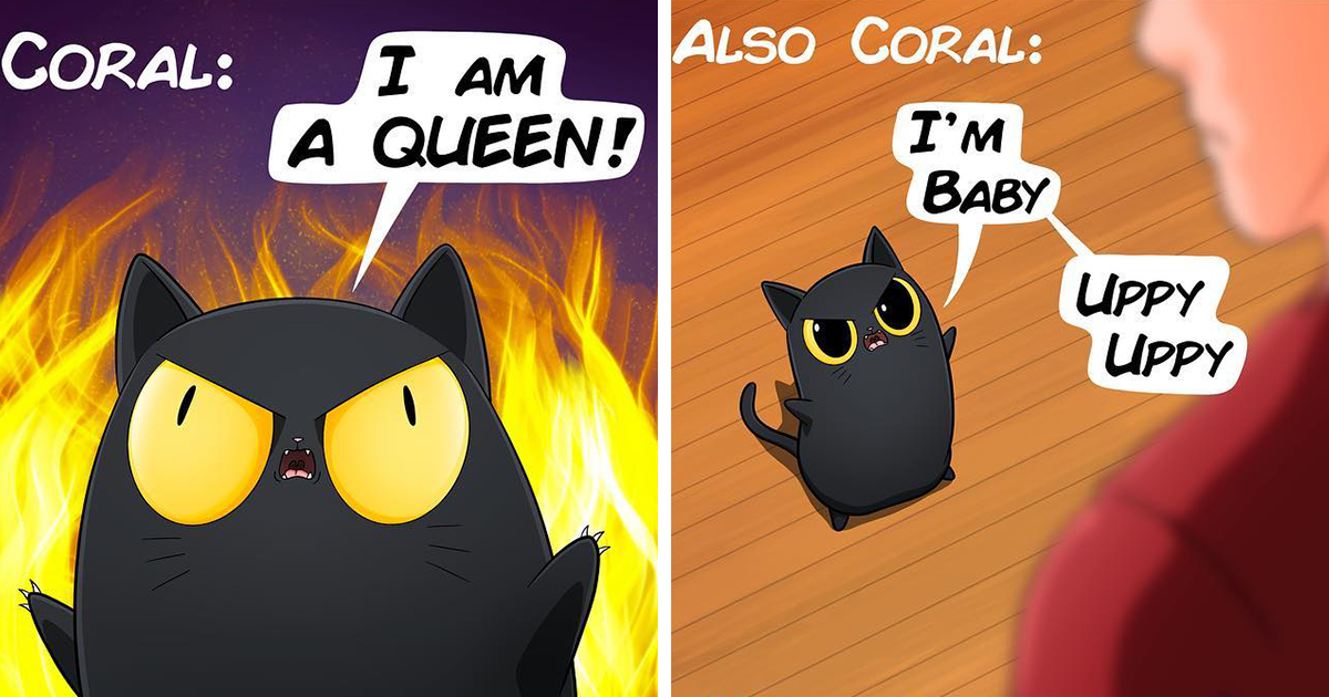 Funny Comics Illustrate The Quirks Of Living With A Cat By Cody Stone ...