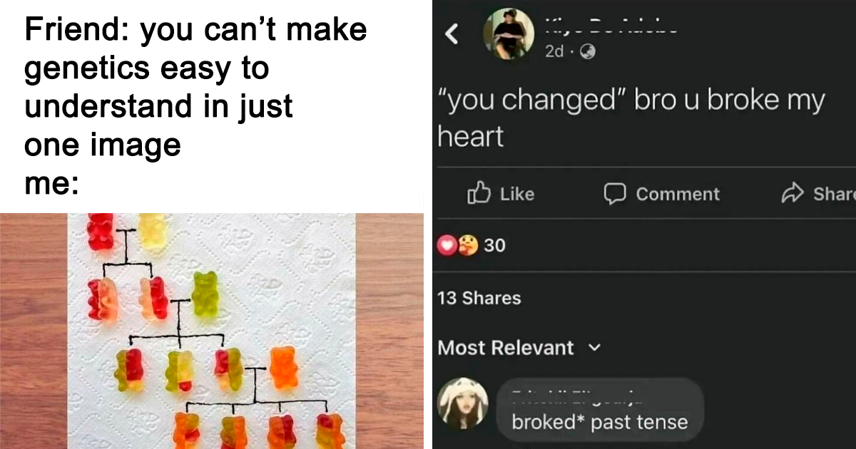 This Instagram Account Shares 50 Funny Memes That Might Actually Teach ...