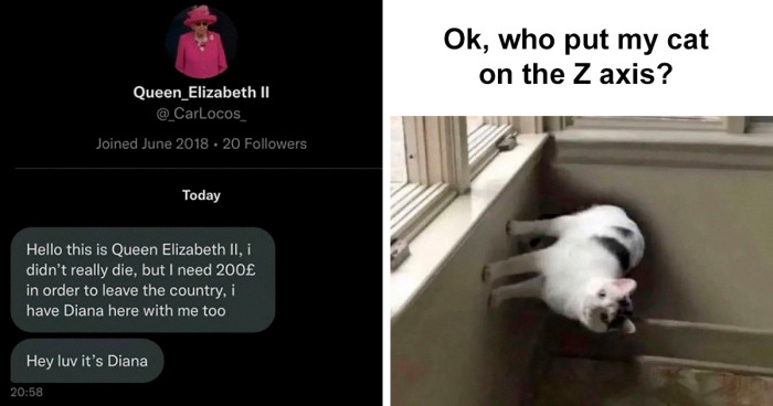 This Instagram Account Shares 50 Funny Memes That Might Actually Teach ...