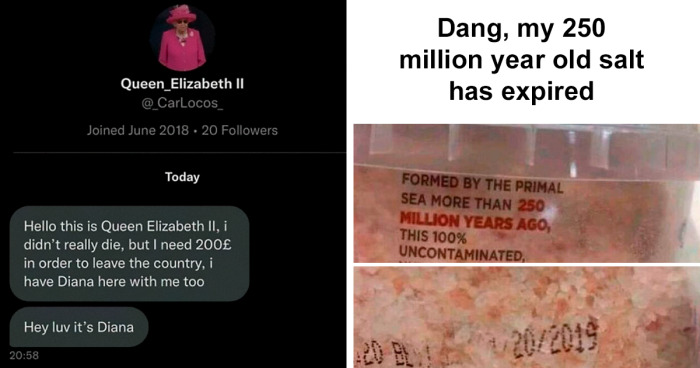 This Instagram Account Shares 50 Funny Memes That Might Actually Teach ...