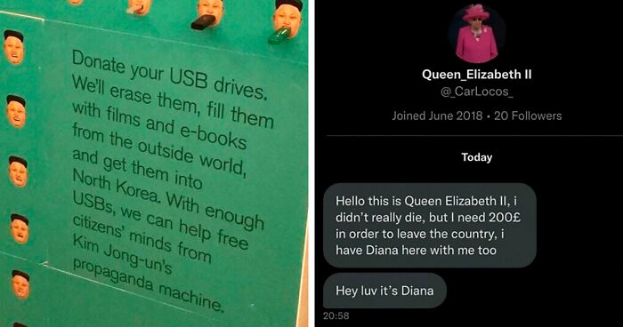 This Instagram Account Shares 50 Funny Memes That Might Actually Teach ...