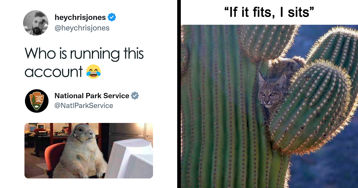 National Park Service Hired The Perfect Social Media Person As Their ...